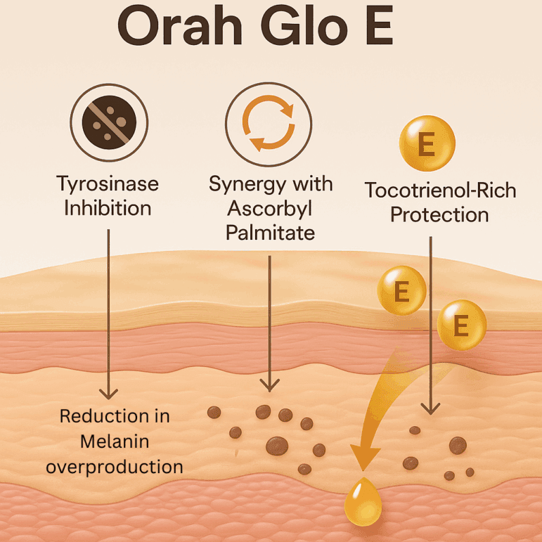 Orah Glo E: Natural Tocotrienol for Anti-Melasma Skincare Active